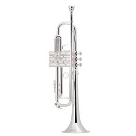 Bach Bb Professional Trumpet Model LR180S43